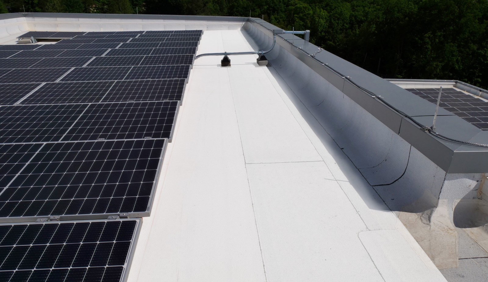 Ensuring Schools and Their Students Are Safe and Protected with Self ...